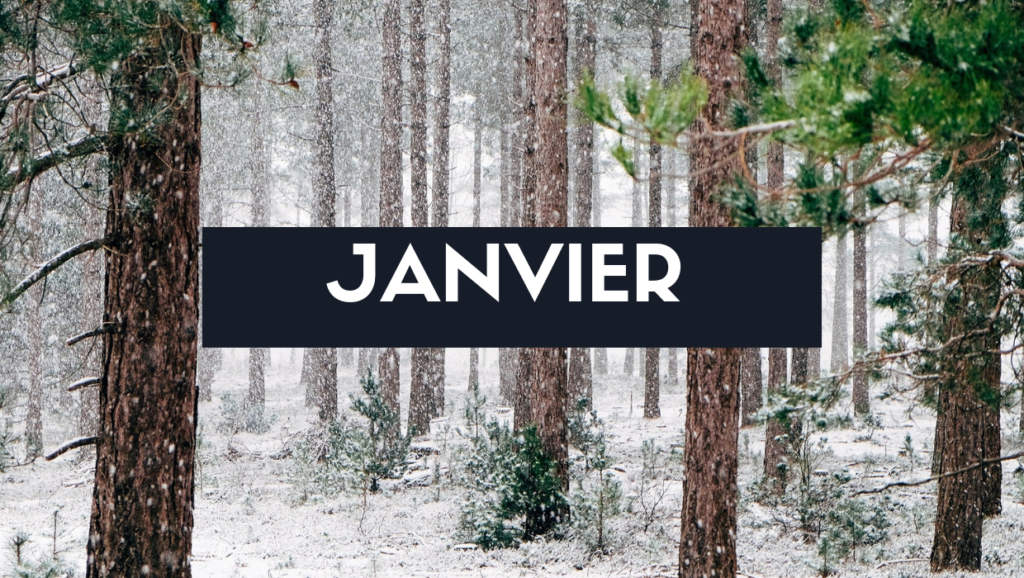 Fruits, légumes et recettes du mois de Janvier - Fourneaux Et Fourchettes